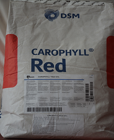 CAROPHYLL RED 10% - Trọng Trí Tín