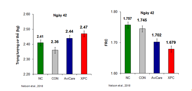 DIAMOND V XPC GIÚP GIẢM STRESS NHIỆT Ở GÀ THỊT HIỆU QUẢ - Trọng Trí Tín
